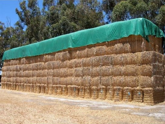 Fastrack Polyfab – Home